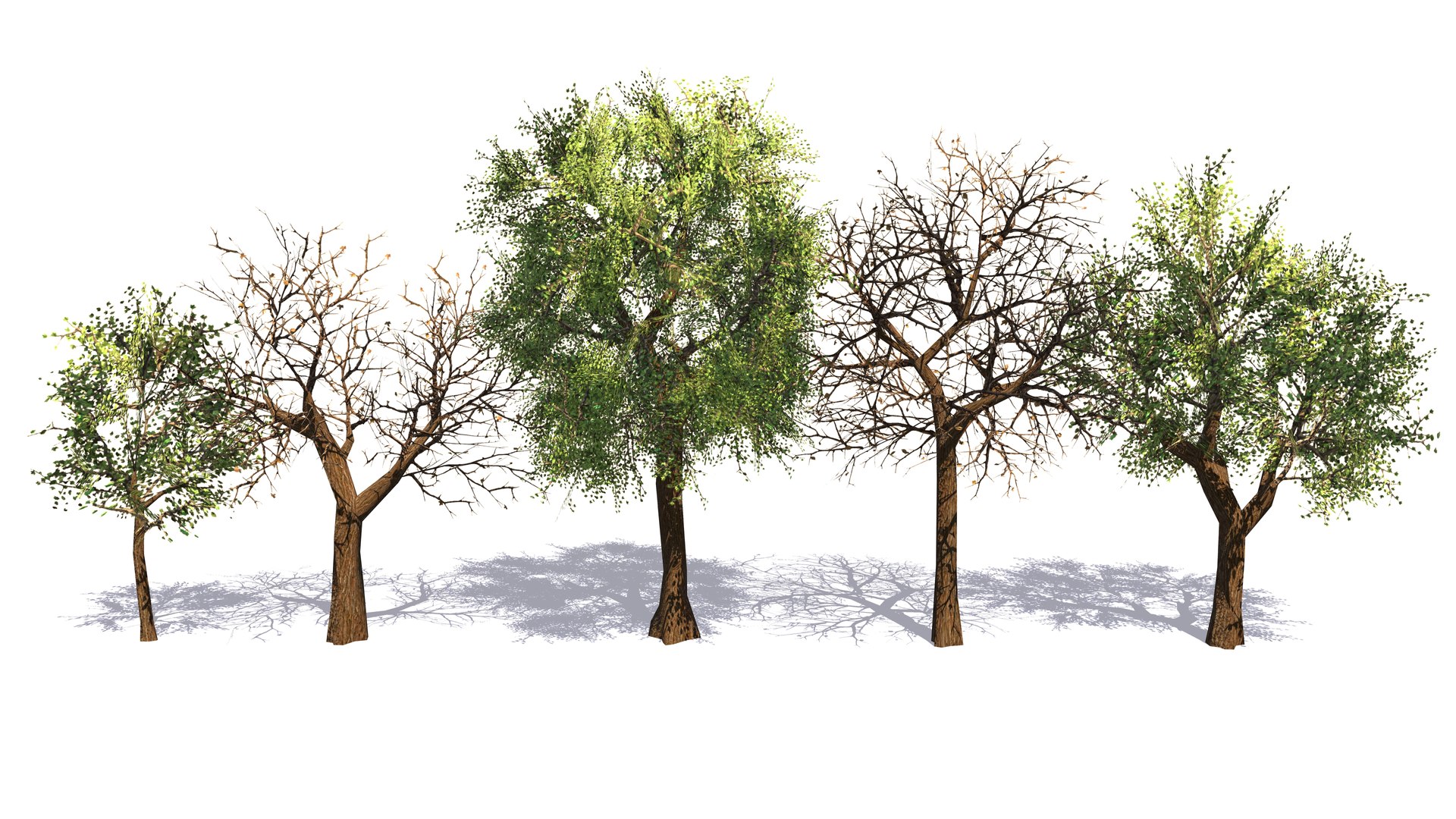 3D Low Poly Game Ready Trees Pack Model - TurboSquid 1986702