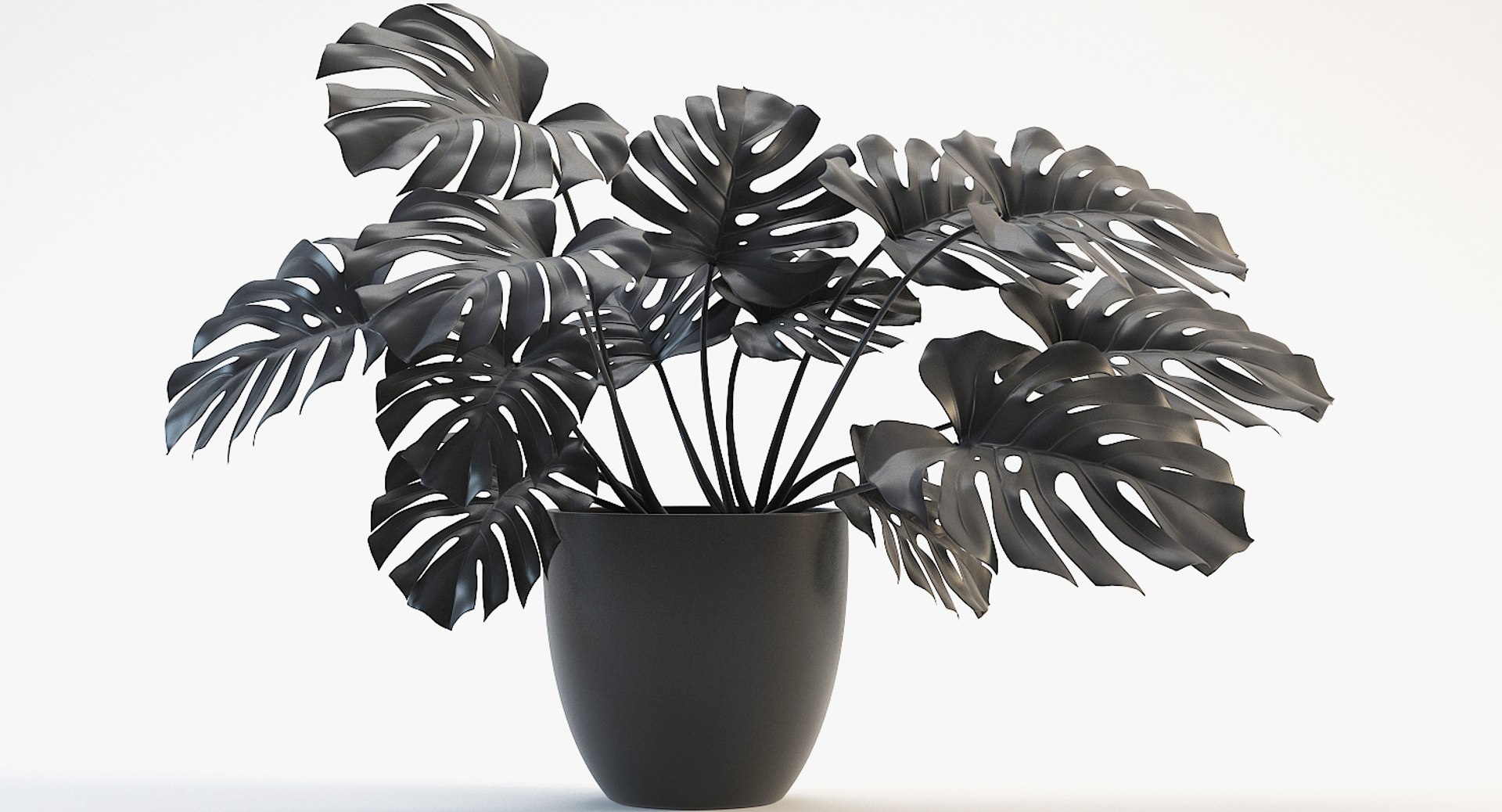 3D Monstera - TurboSquid 1381511