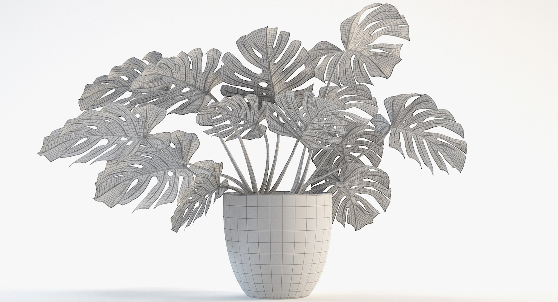3D Monstera - TurboSquid 1381511