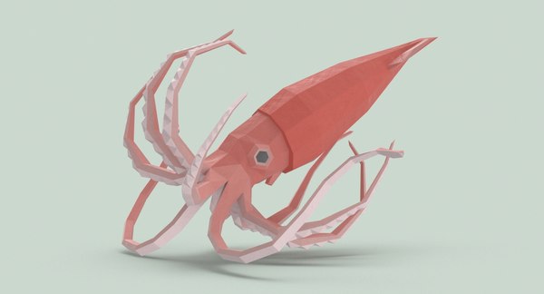 3D squid---floating - TurboSquid 1224465