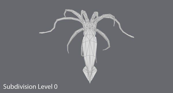 3D squid---floating - TurboSquid 1224465