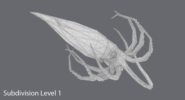 3D squid---floating - TurboSquid 1224465