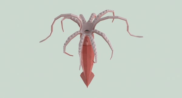 3D squid---floating - TurboSquid 1224465