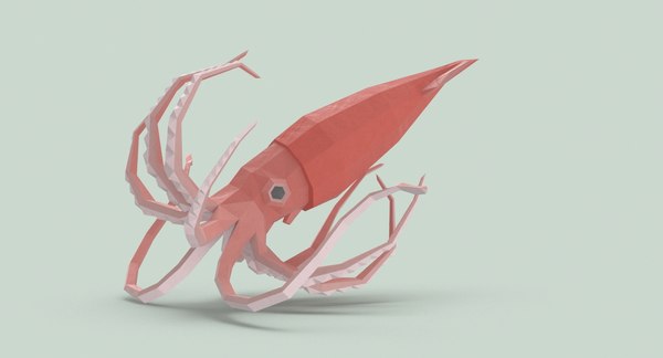 3D squid---floating - TurboSquid 1224465
