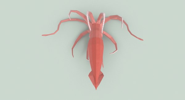 3D squid---floating - TurboSquid 1224465