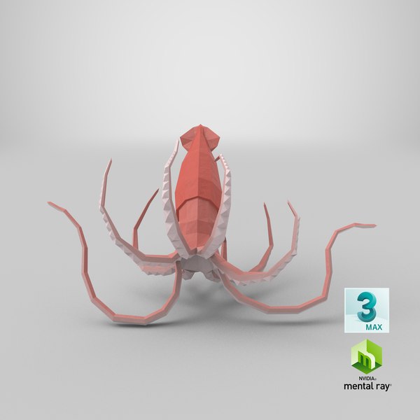 3D squid---floating - TurboSquid 1224465