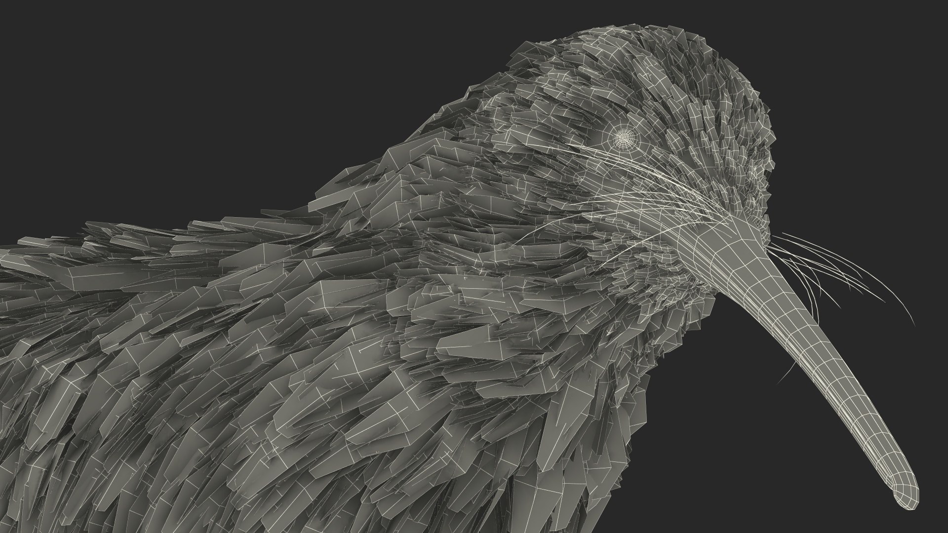 Run Pose Kiwi Bird Model - TurboSquid 2106173