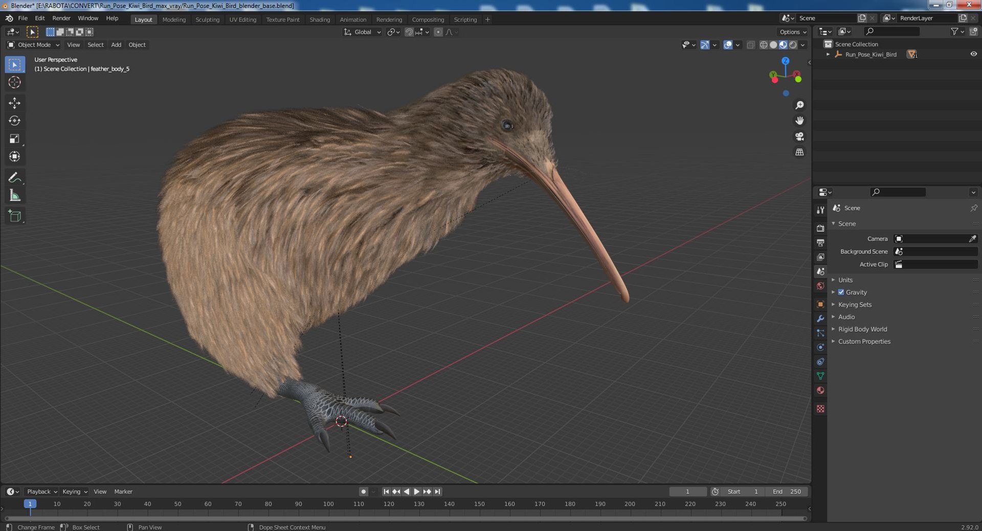 Run Pose Kiwi Bird Model - TurboSquid 2106173