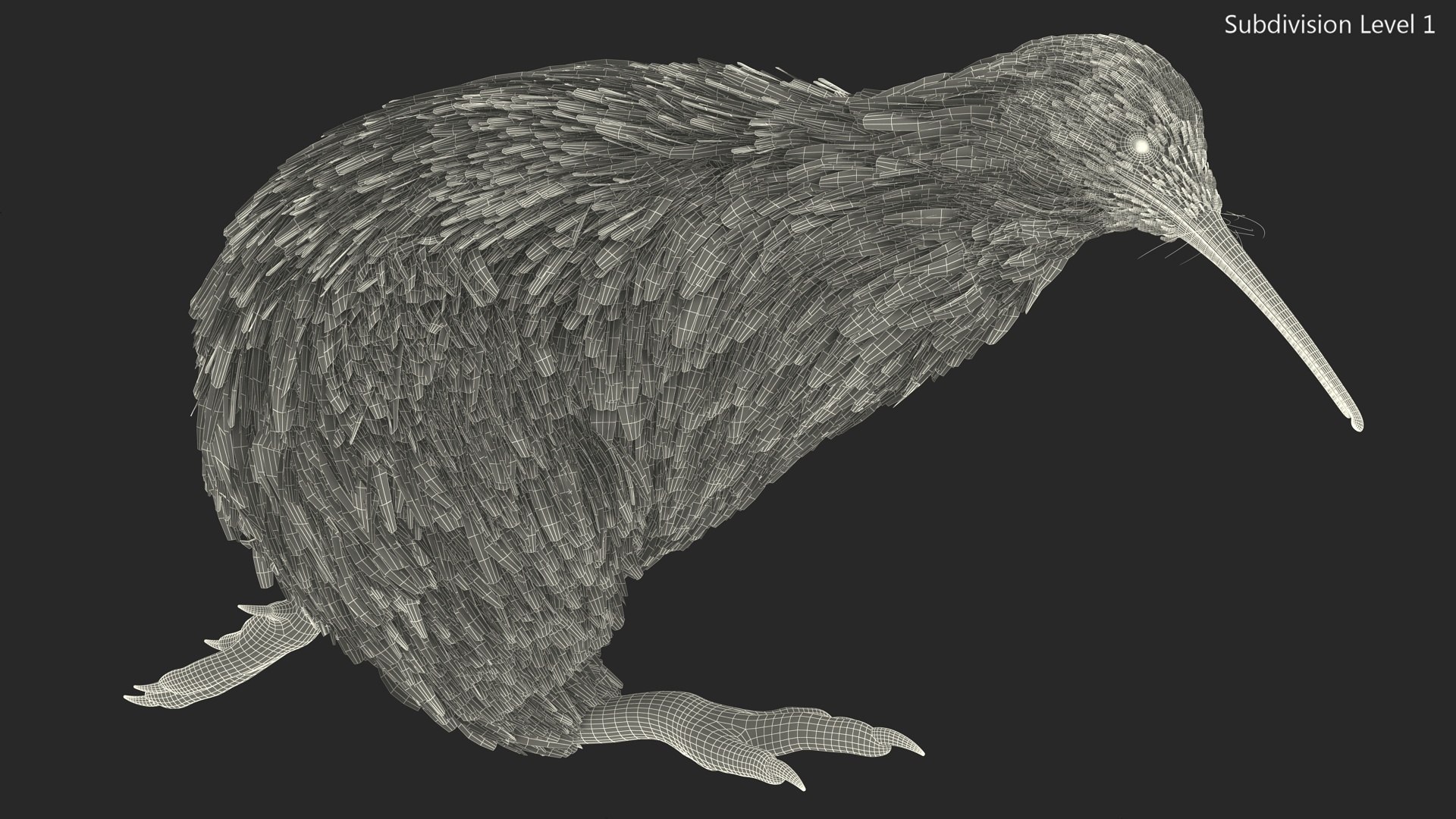 Run Pose Kiwi Bird model - TurboSquid 2106173