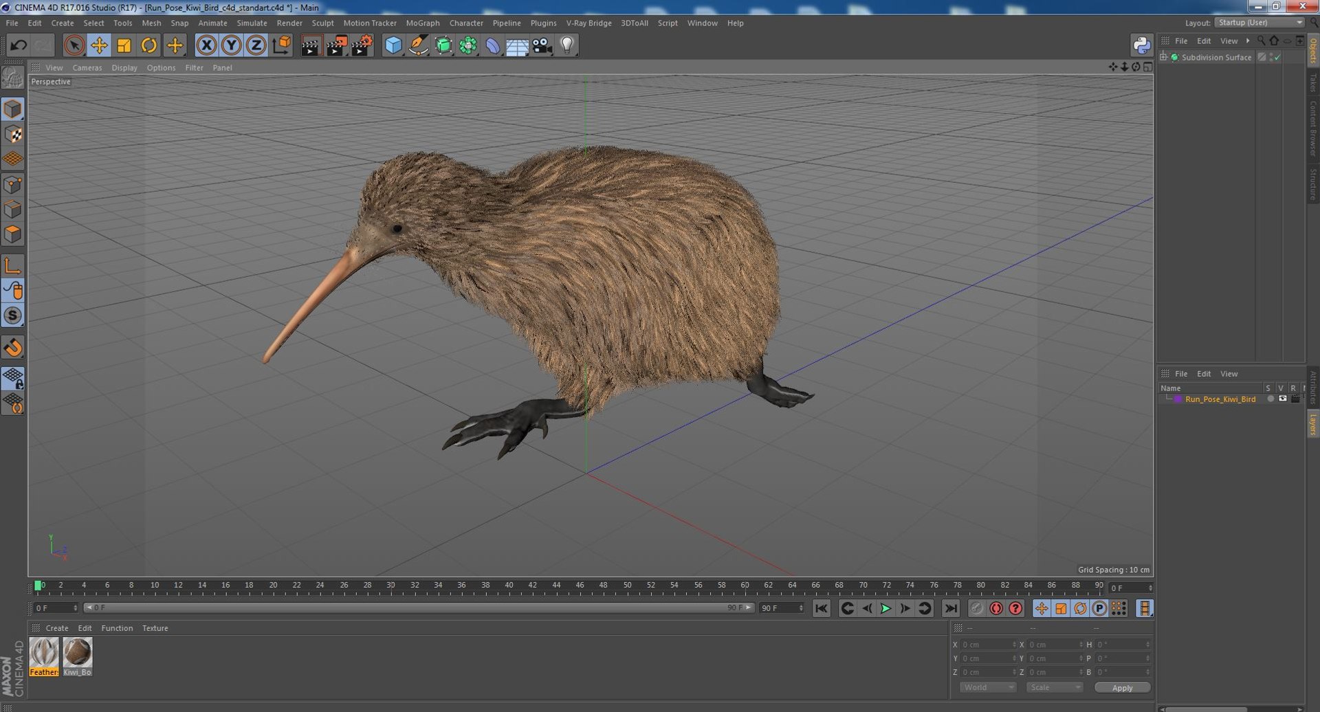 Run Pose Kiwi Bird Model - TurboSquid 2106173