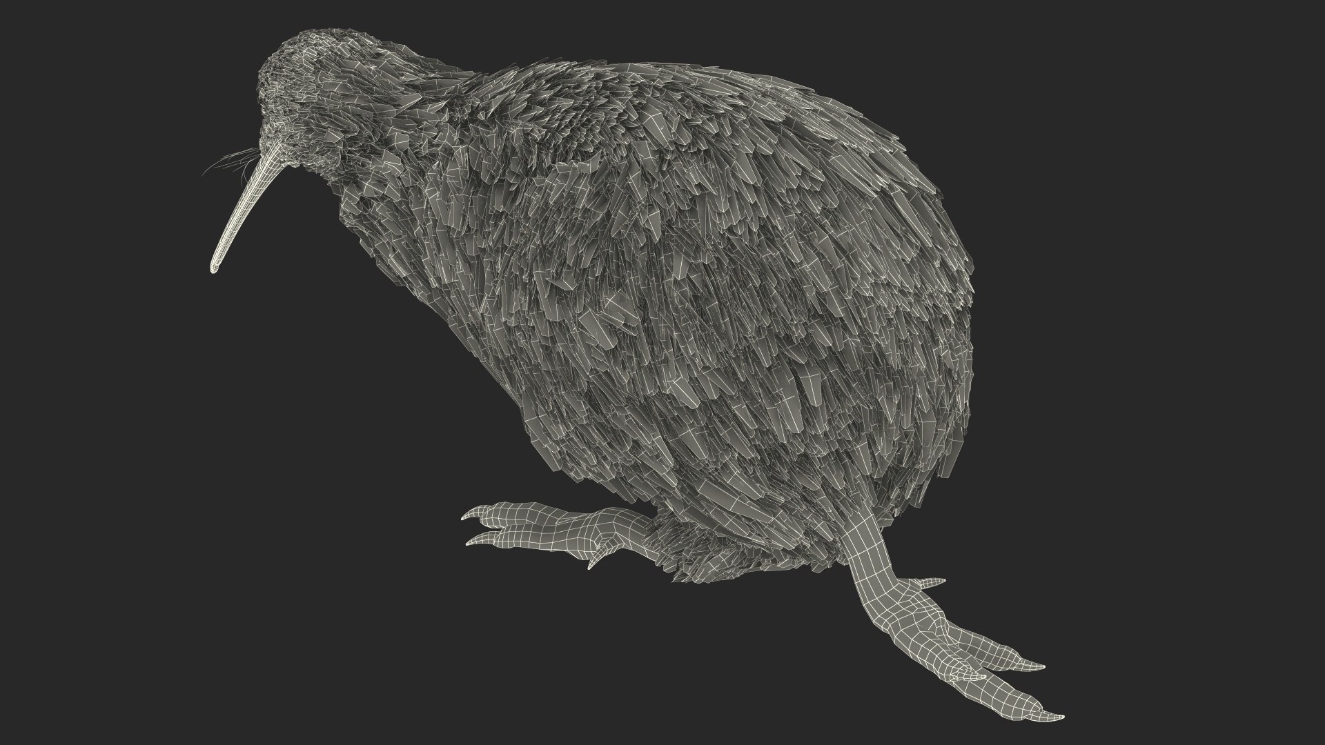 Run Pose Kiwi Bird Model - TurboSquid 2106173