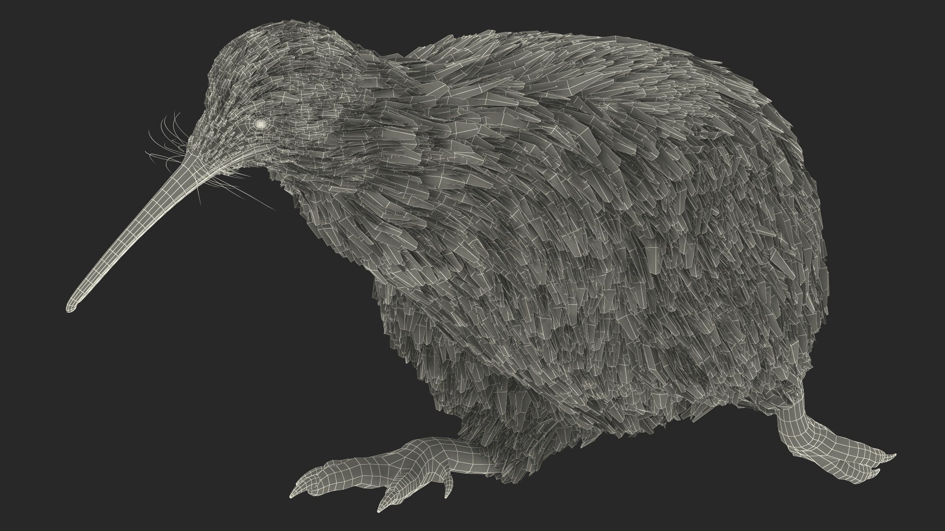 Run Pose Kiwi Bird Model - TurboSquid 2106173