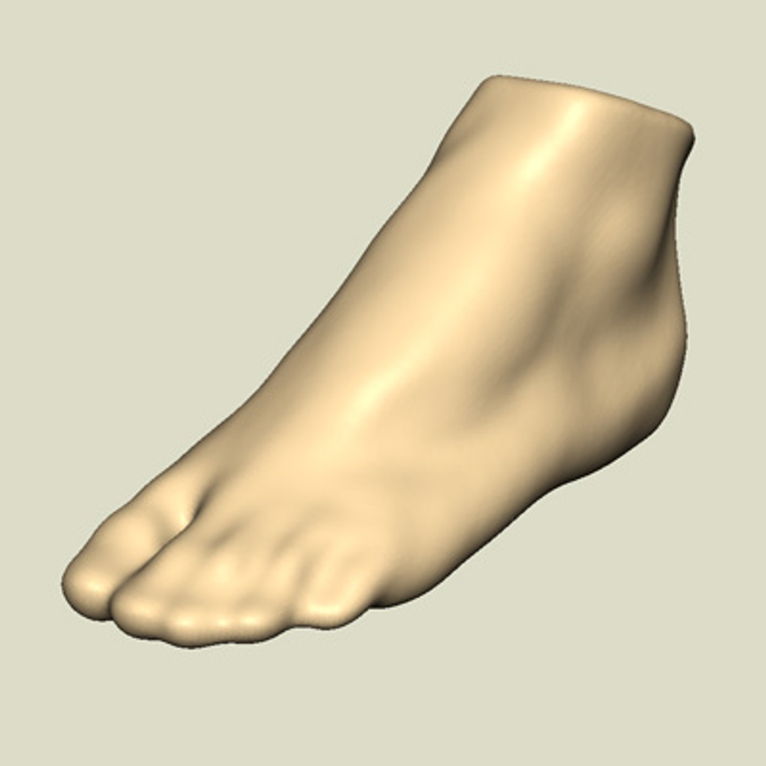 3d model set feet