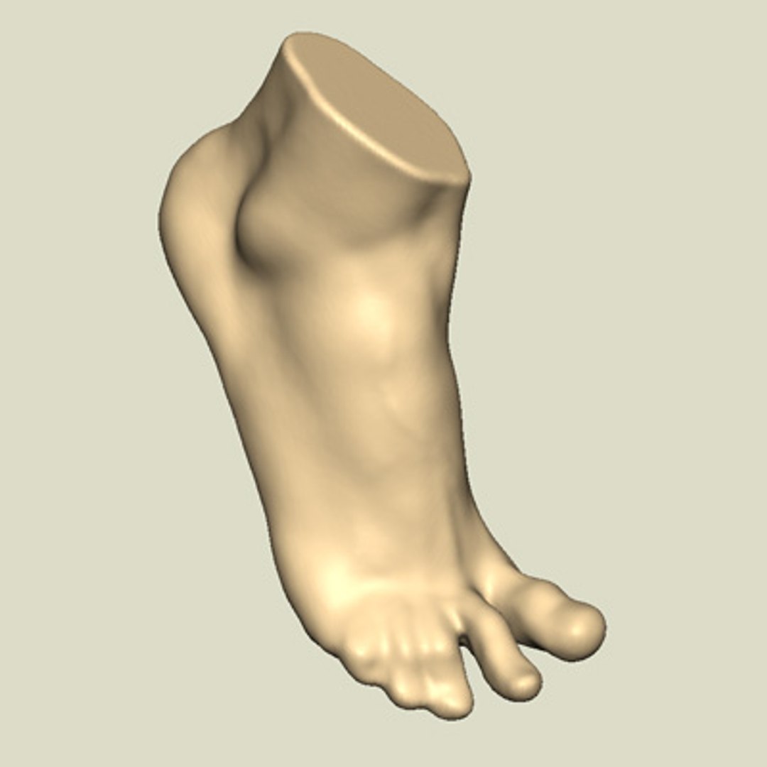3d Model Set Feet