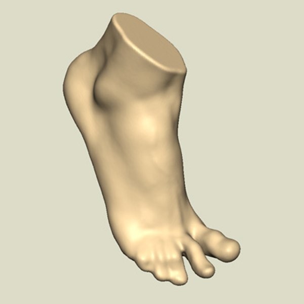 3d model set feet