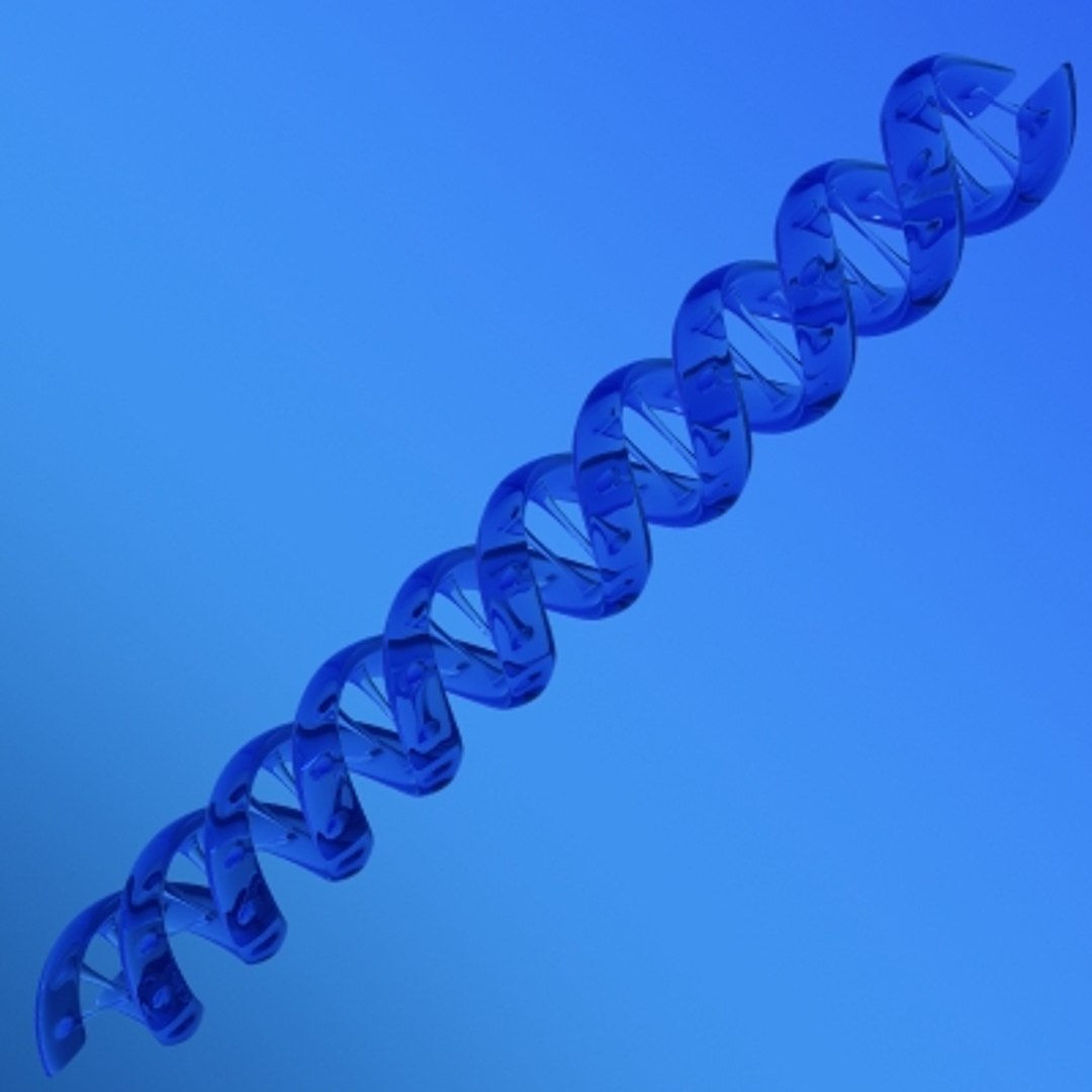 3d Dna Strand Model