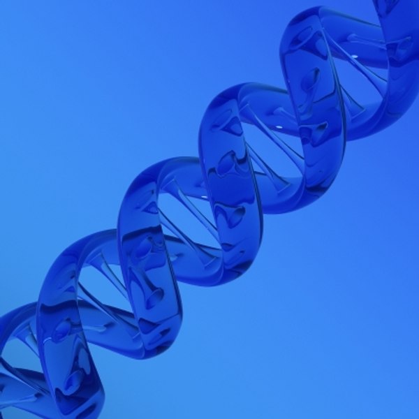 3d dna strand model