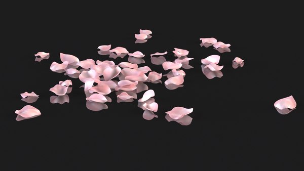 Petal 3D Models for Download | TurboSquid