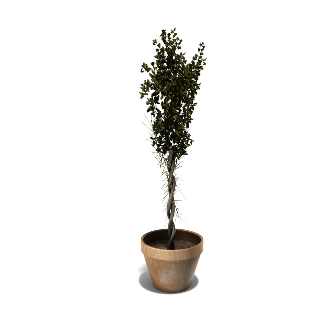 Ceramic Pot Plant 3d Ma