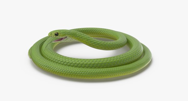 green snake rigged 3d c4d
