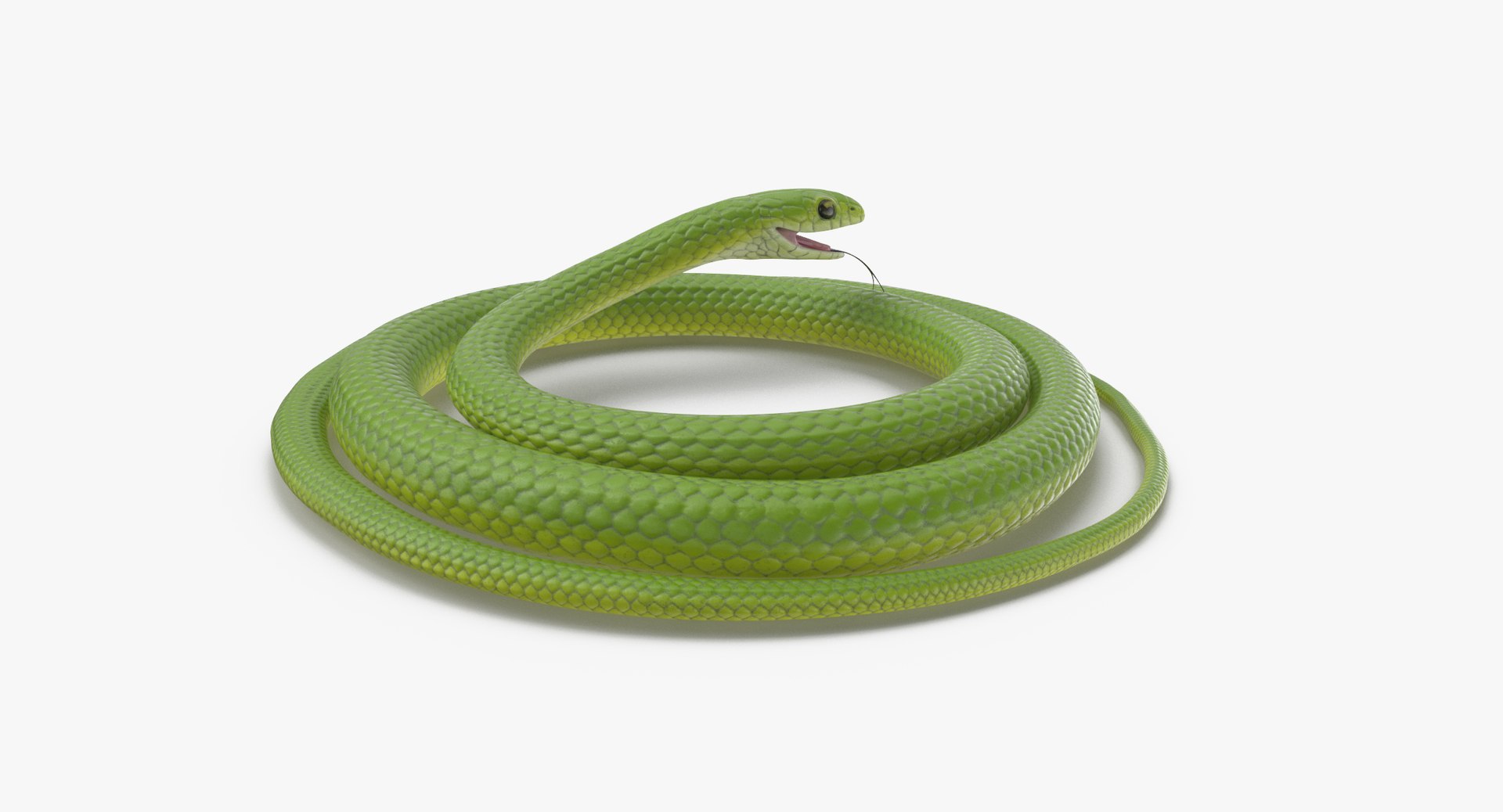 Green Snake Rigged 3d C4d