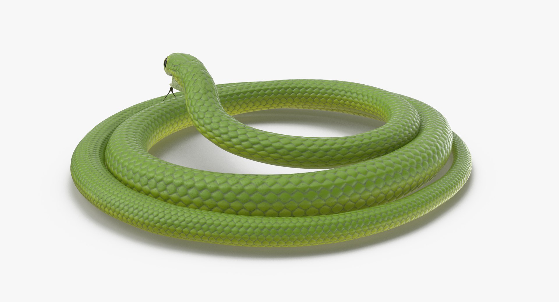 Green Snake Rigged 3d C4d