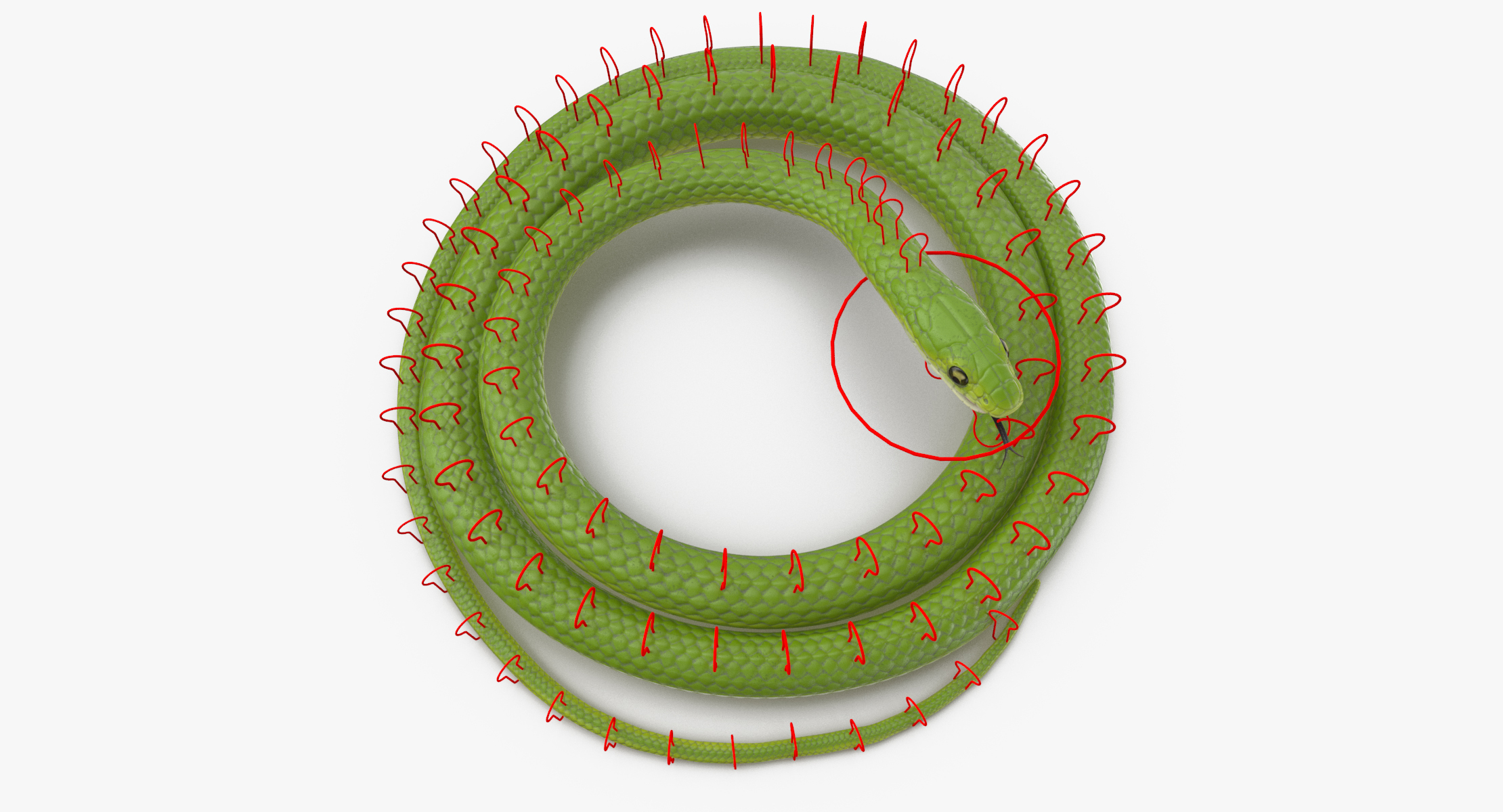 green snake rigged 3d c4d