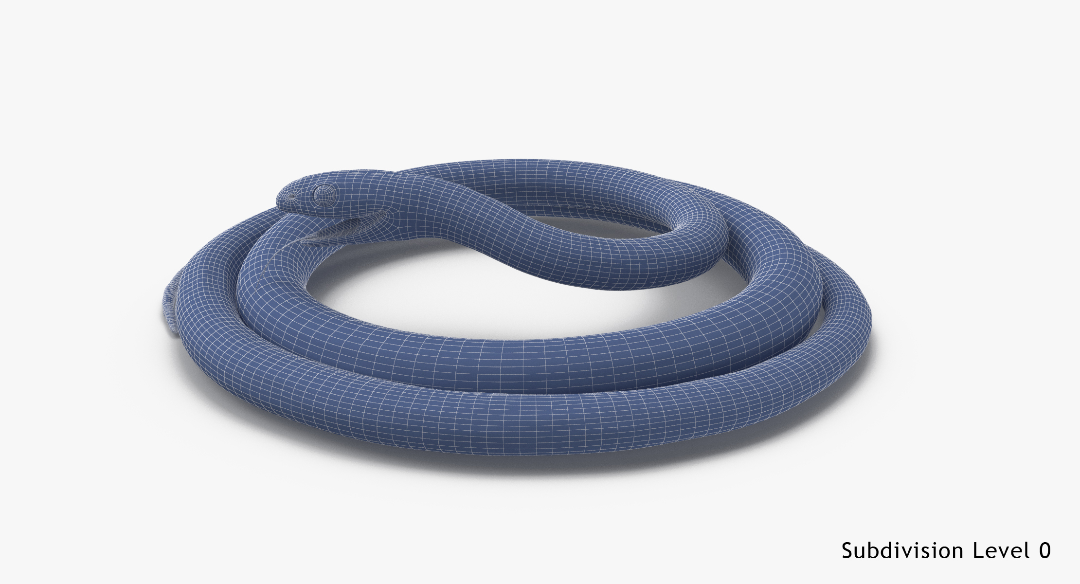 green snake rigged 3d c4d