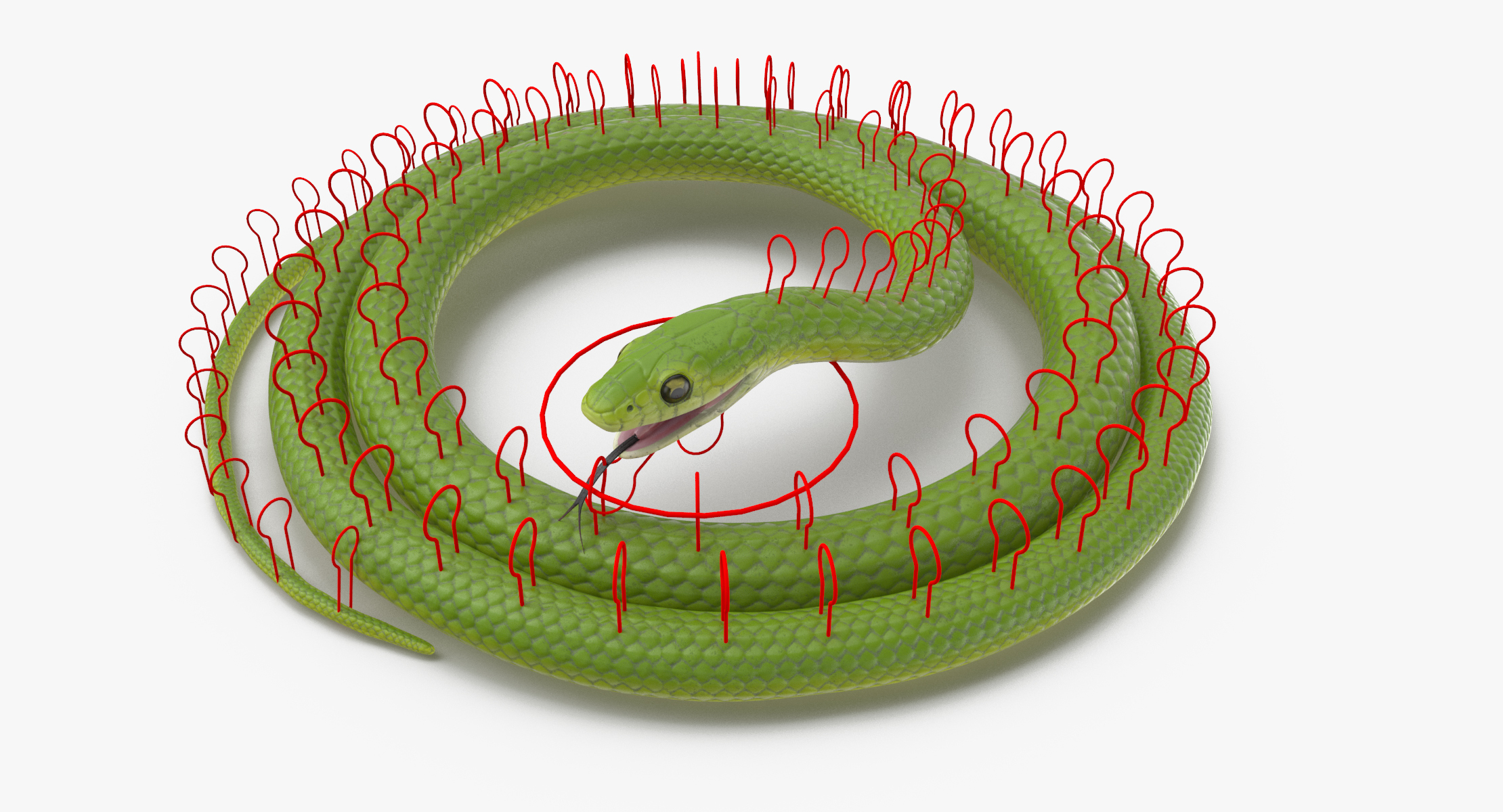 green snake rigged 3d c4d