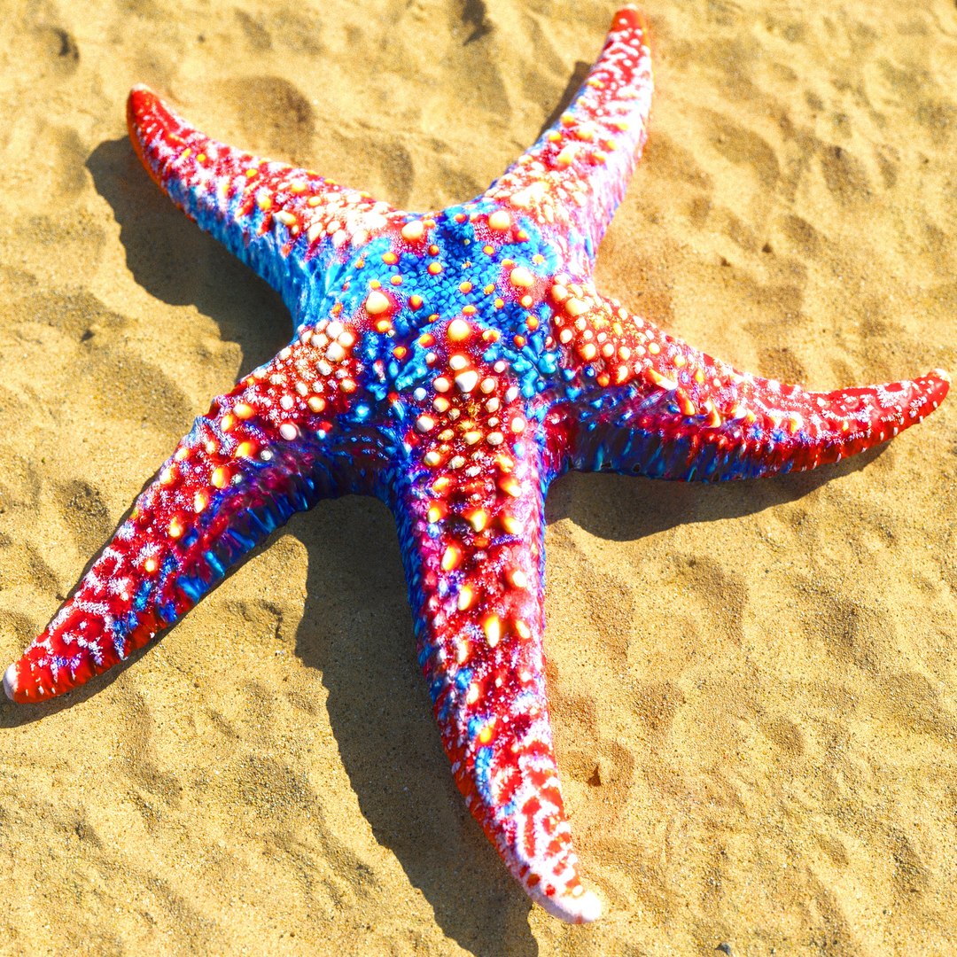 Starfish Pack 3D - TurboSquid 2181365