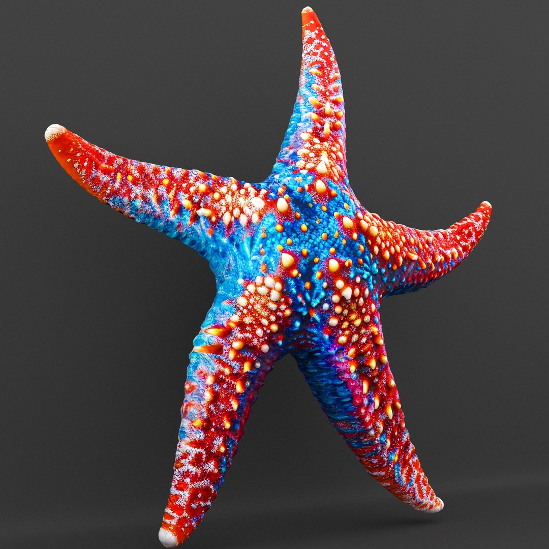 Starfish Pack 3D - TurboSquid 2181365
