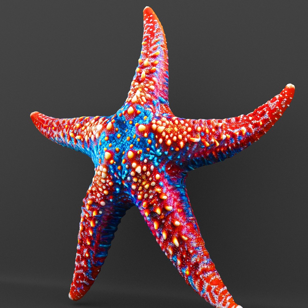 Starfish Pack 3D - TurboSquid 2181365