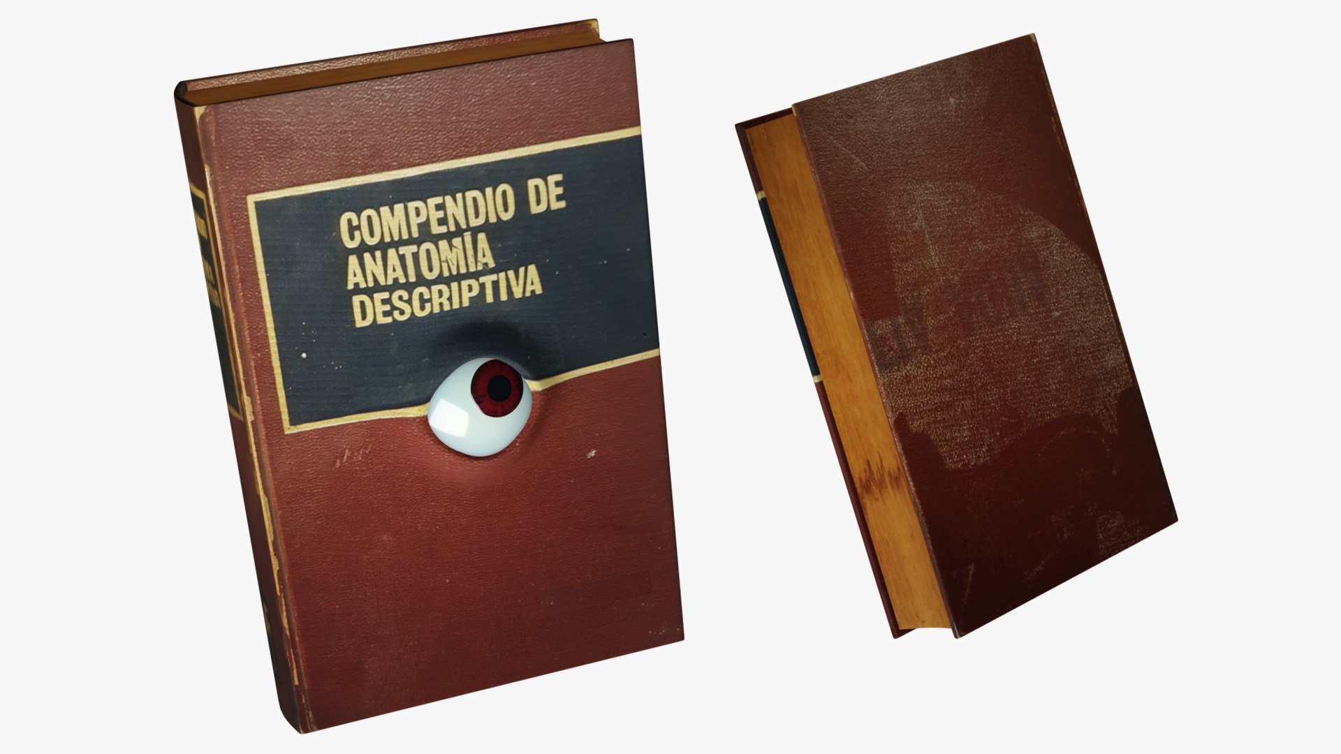 modèle 3D de Le livre d'anatomie Eyed est truqué - TurboSquid 2467990