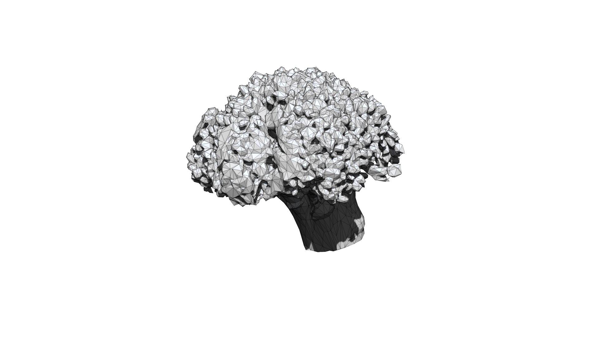 3D Broccoli Cut 3D CT Scan Model 5 Decimate10percent - TurboSquid 1886456