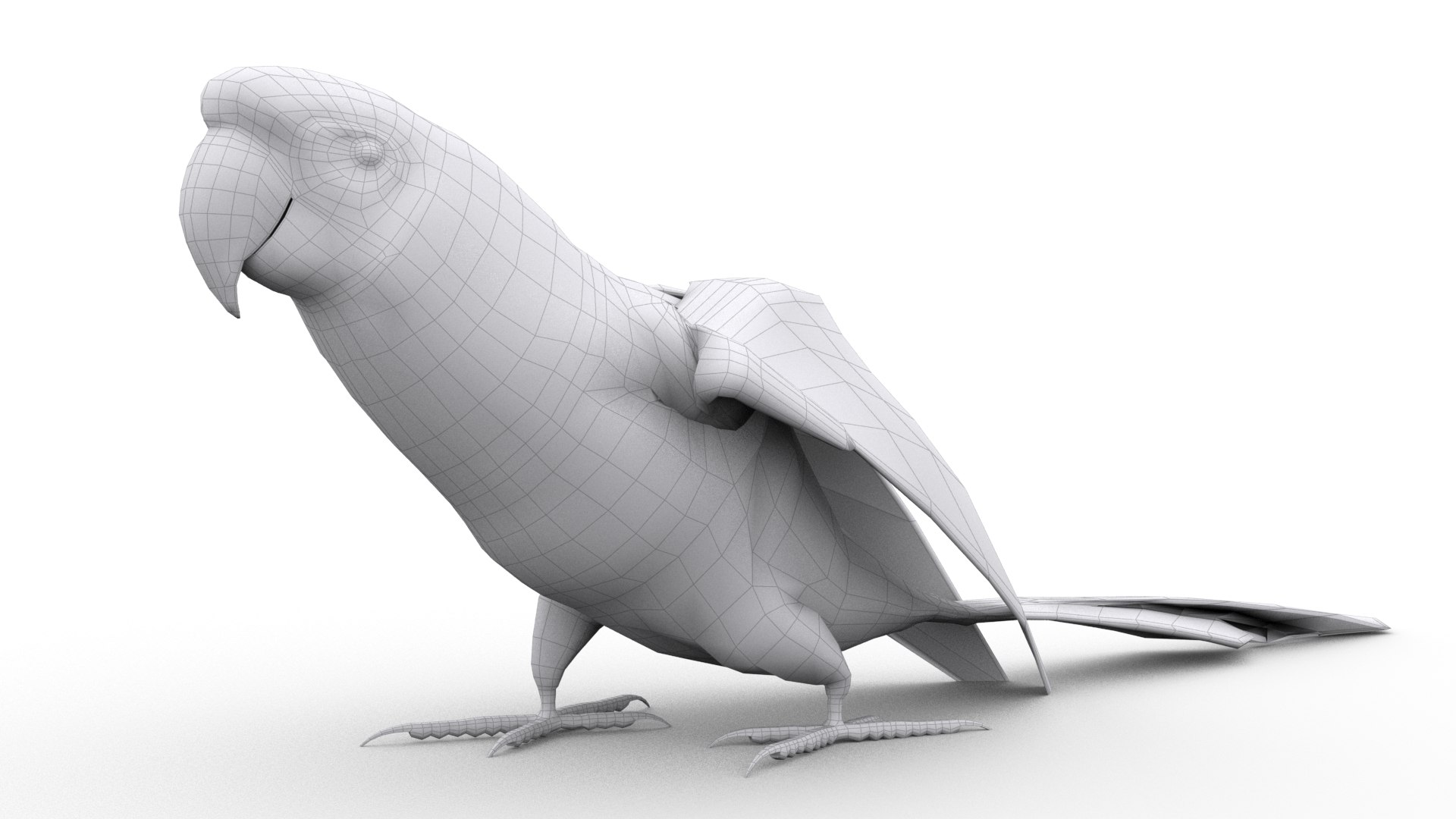 3d Model Parrot Animations