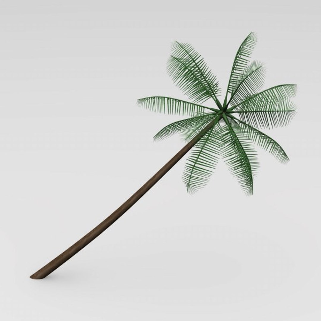 3d model palm