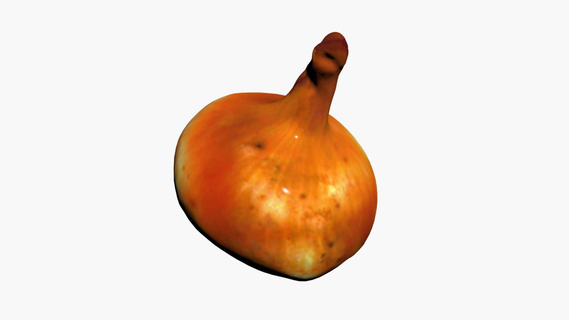 Onion Scan High Quality 3D Model - TurboSquid 1747095