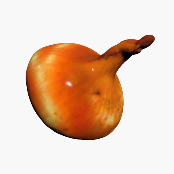 Onion Scan High Quality 3D model - TurboSquid 1747095