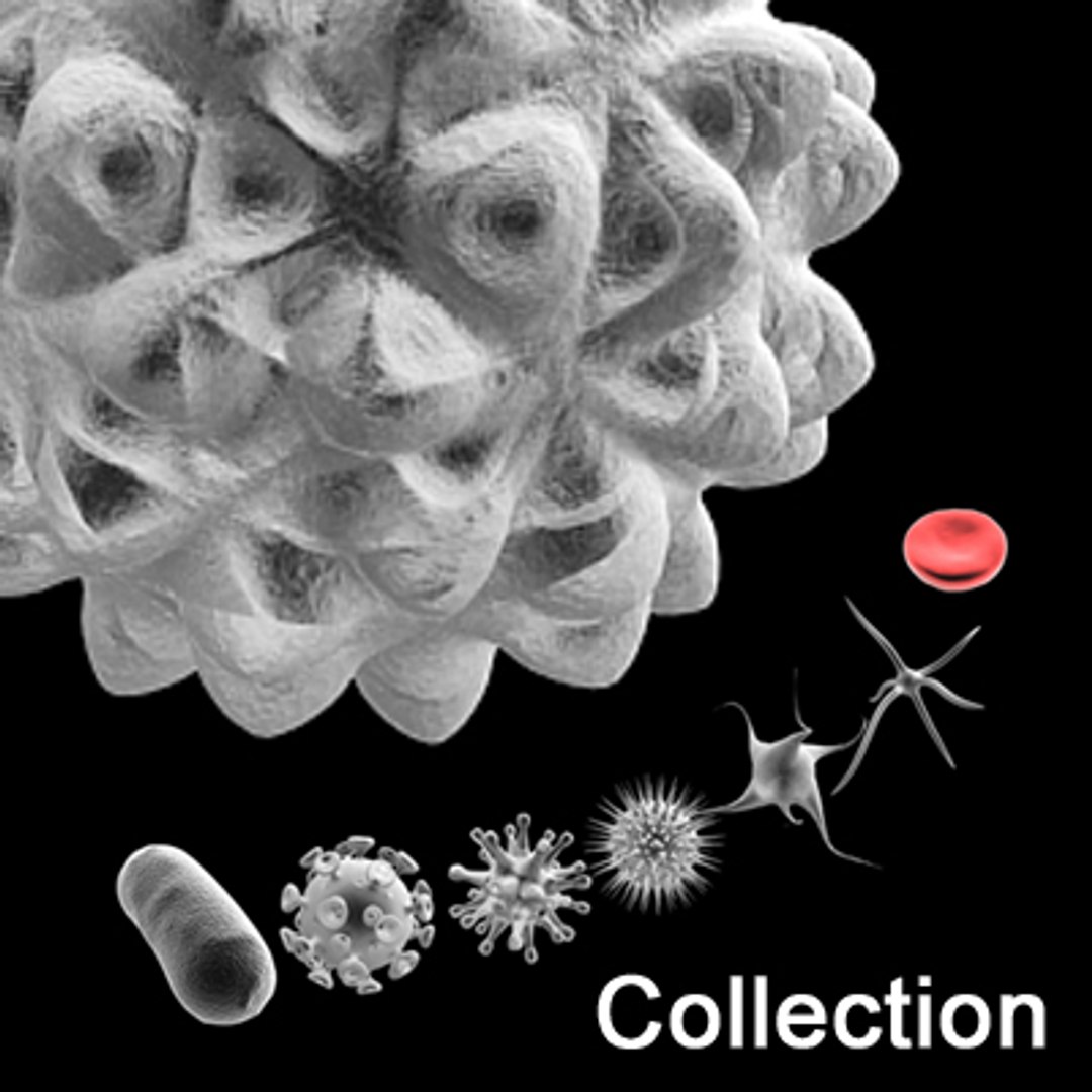 Simple 8 Micro Cells Max