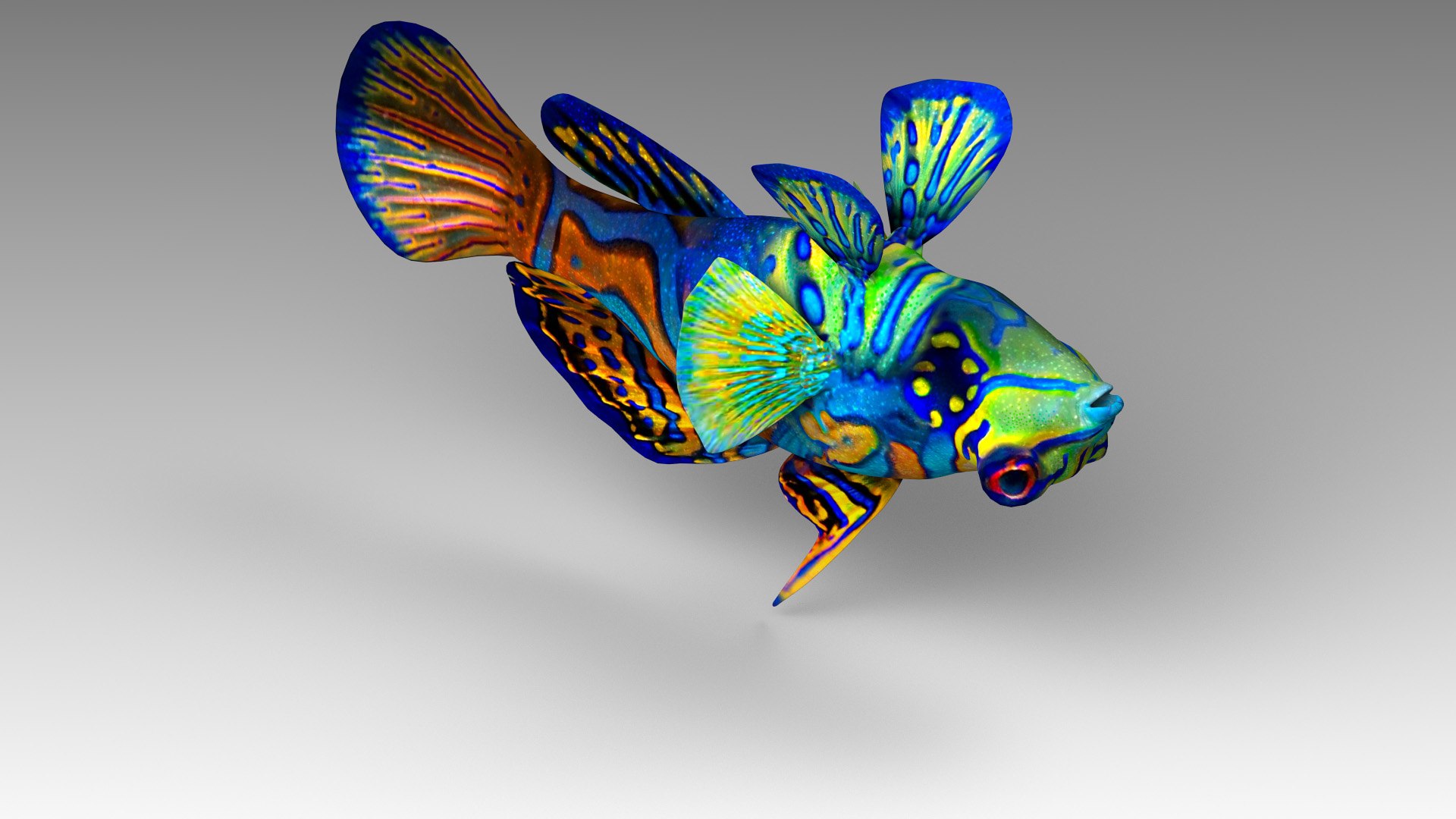 3d Mandarin Fish