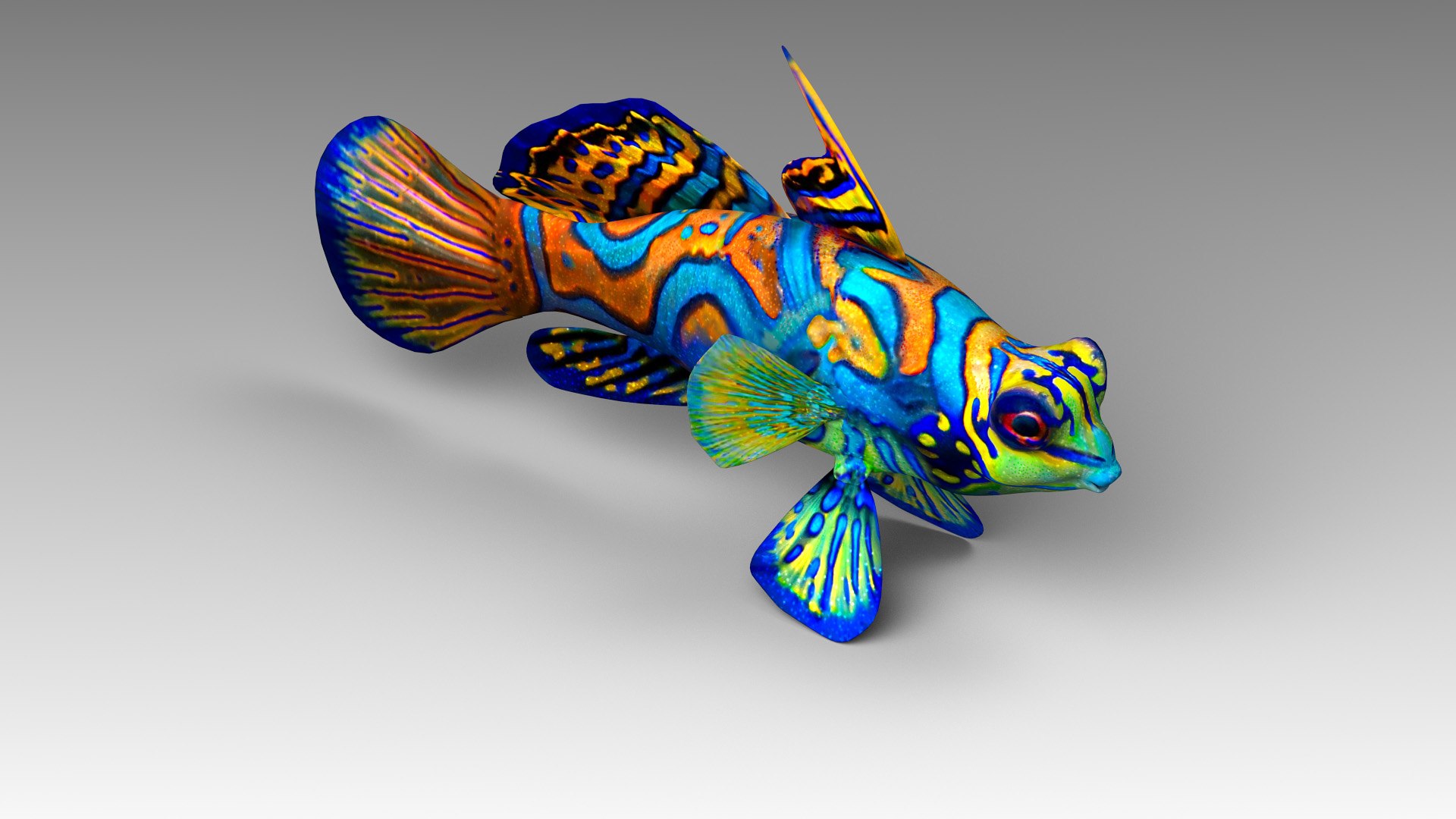 3d Mandarin Fish