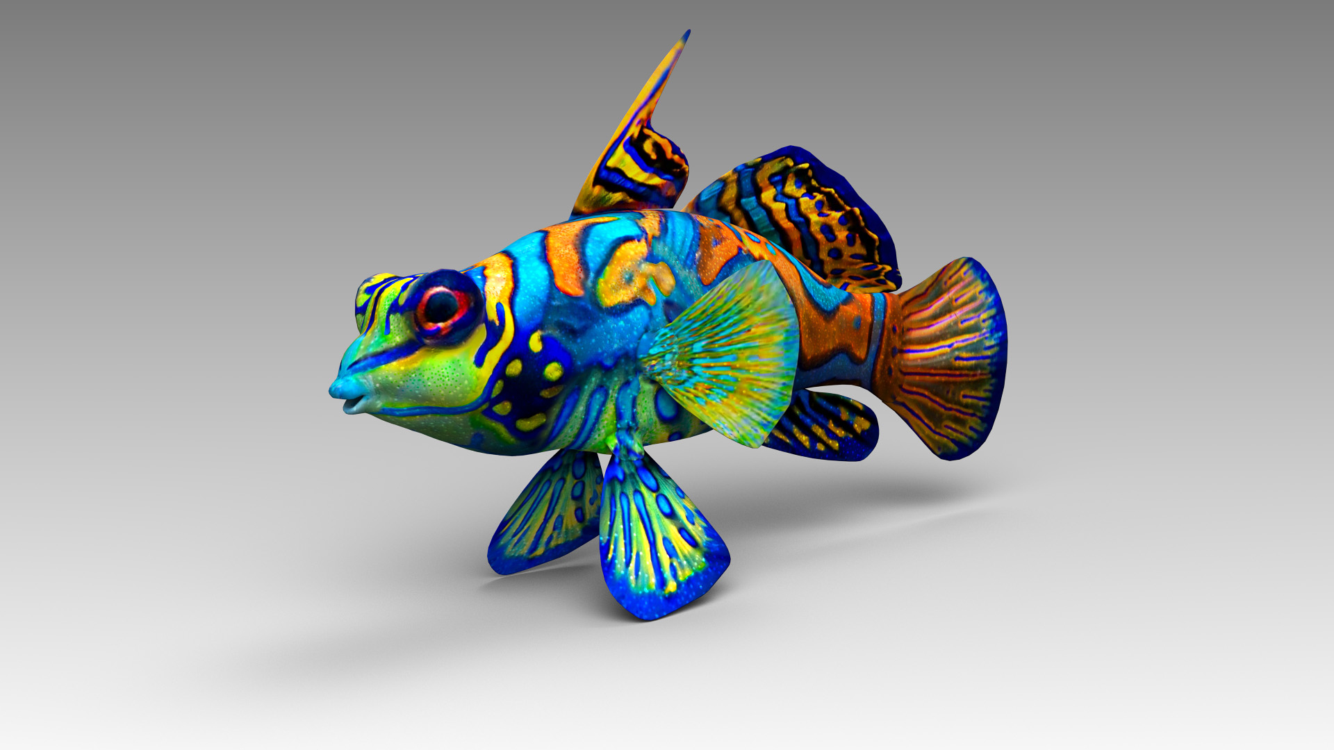3d mandarin fish