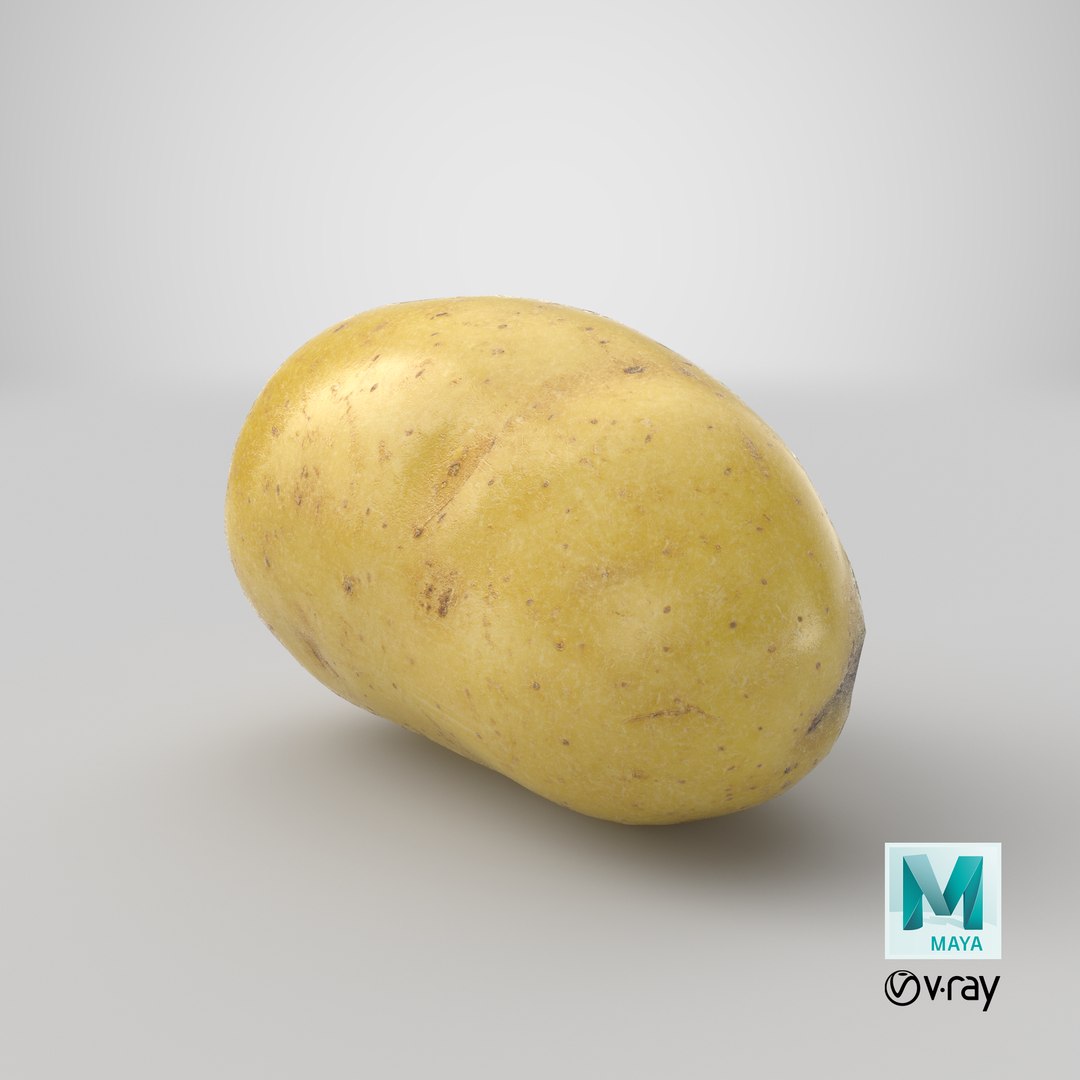 Potato Clean Ready 01 3D - TurboSquid 1434289