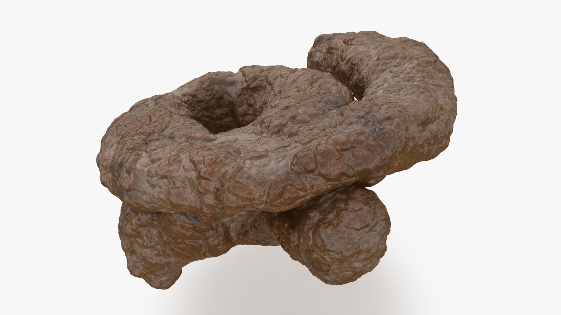 3D model Poop 02 - TurboSquid 2001917