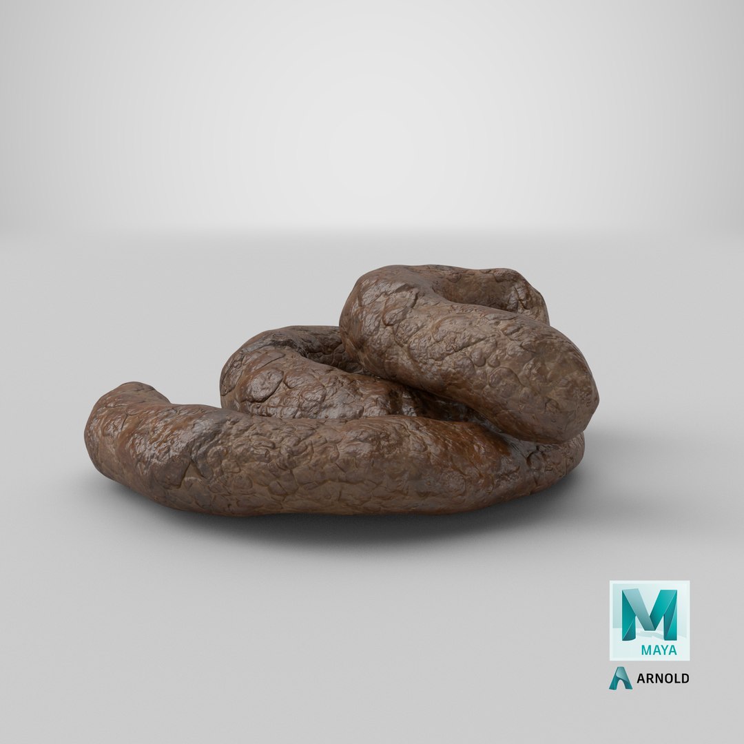 3D model Poop 02 - TurboSquid 2001917