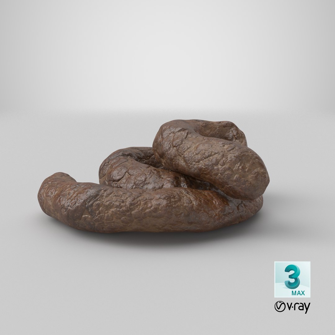 3D model Poop 02 - TurboSquid 2001917