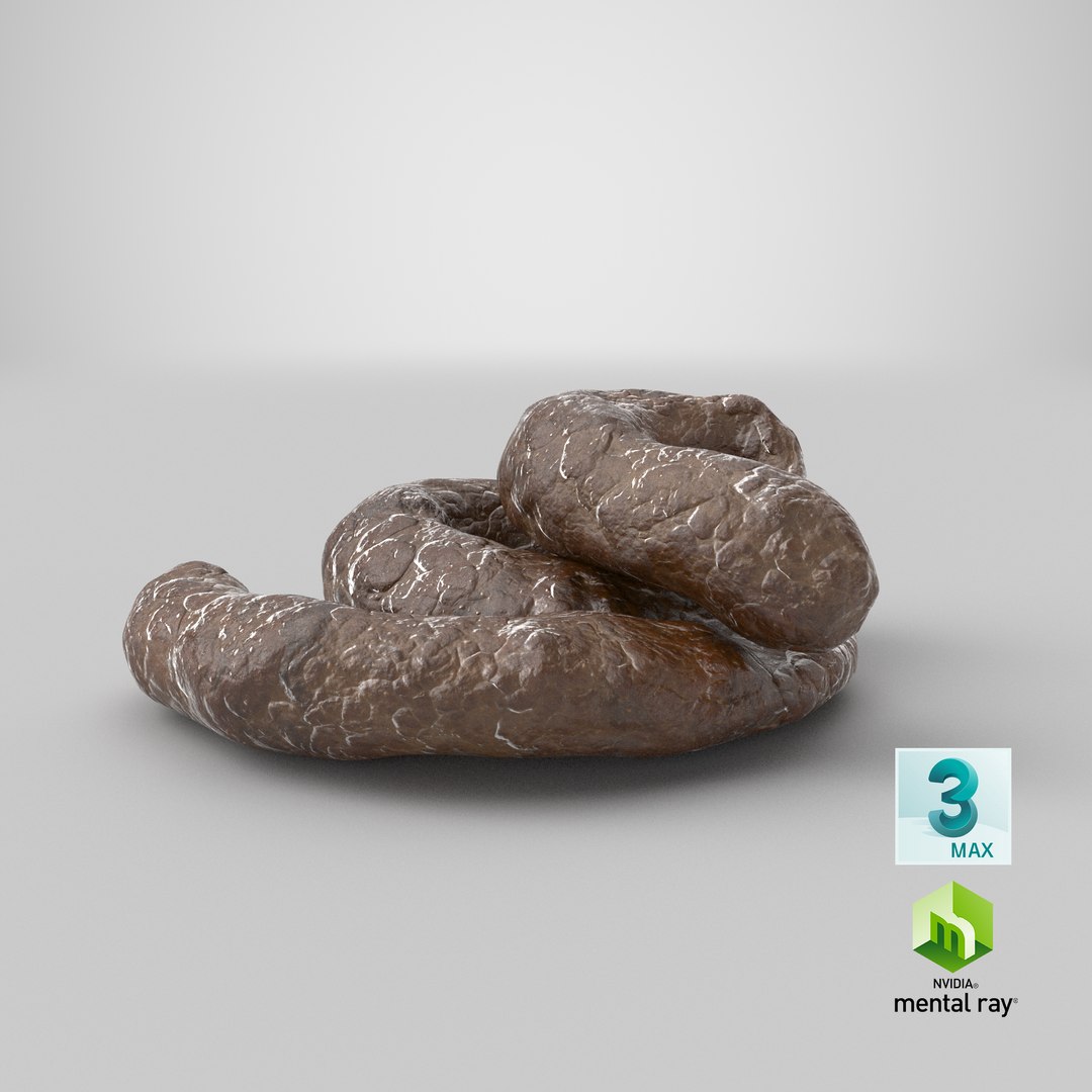 3D model Poop 02 - TurboSquid 2001917