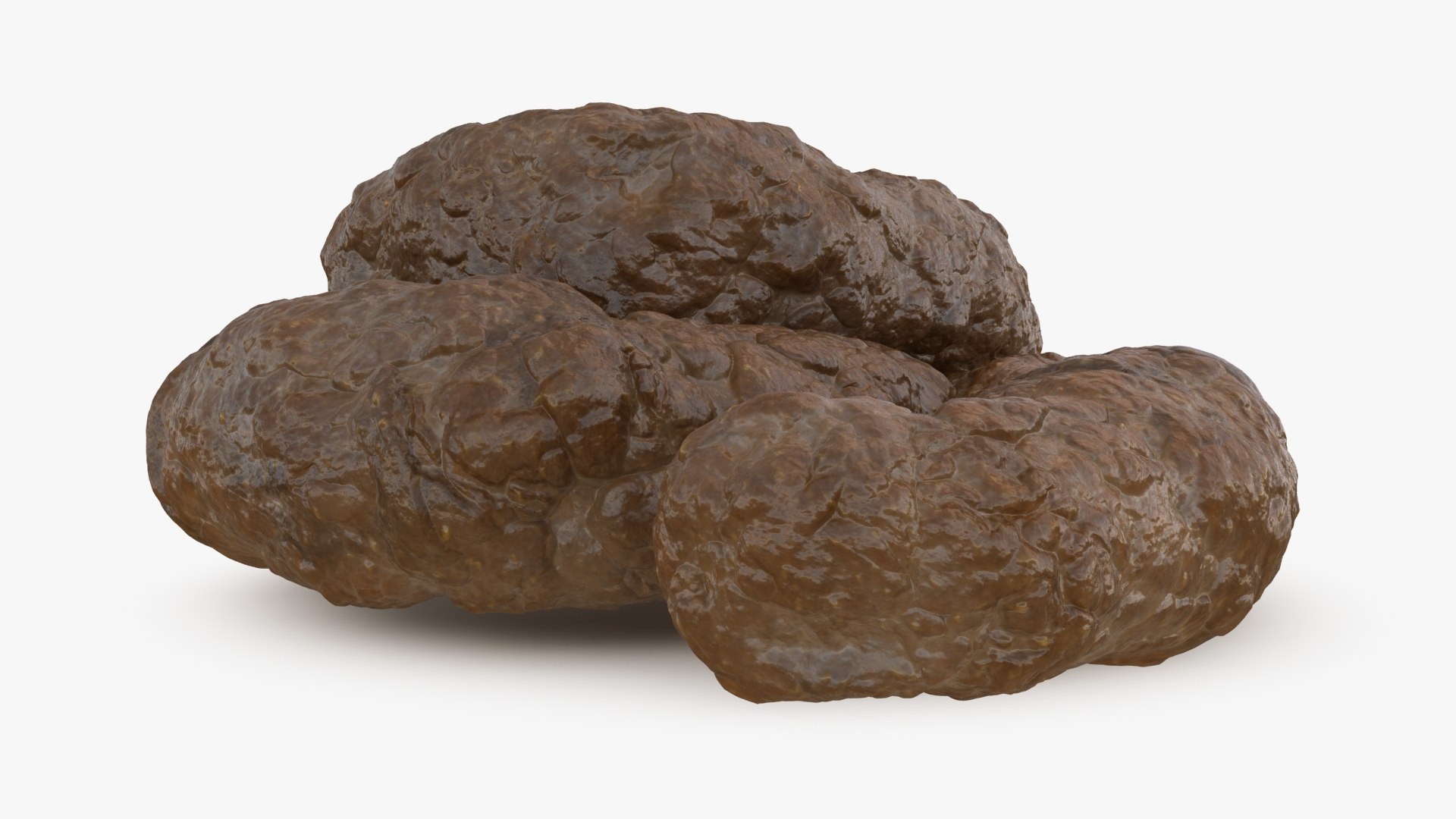 3D Model Poop 02 - TurboSquid 2001917