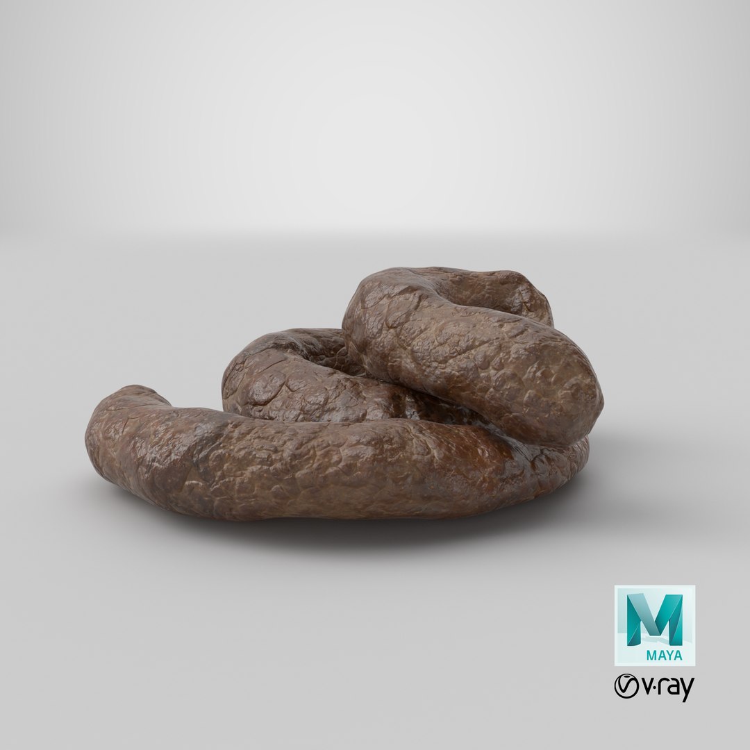 3D model Poop 02 - TurboSquid 2001917