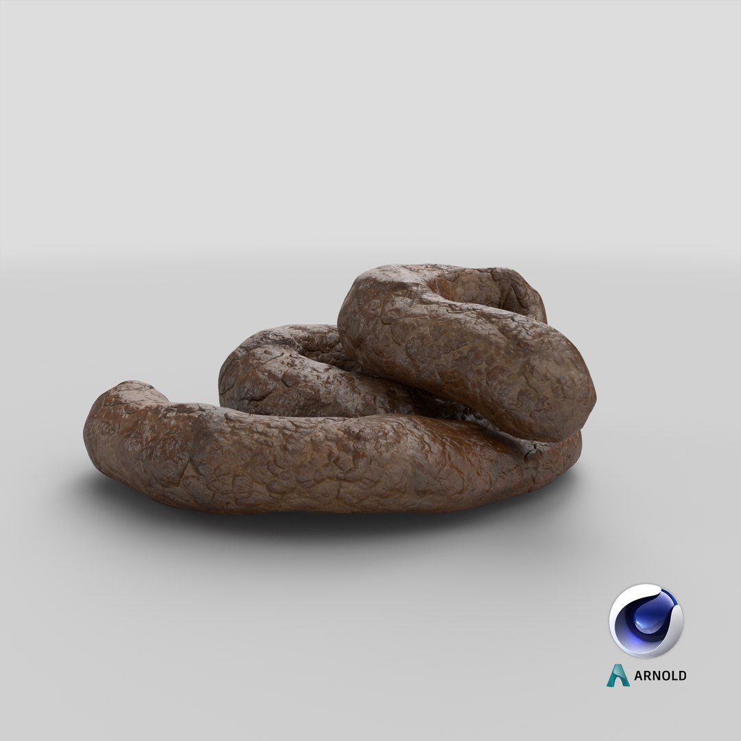 3D model Poop 02 - TurboSquid 2001917